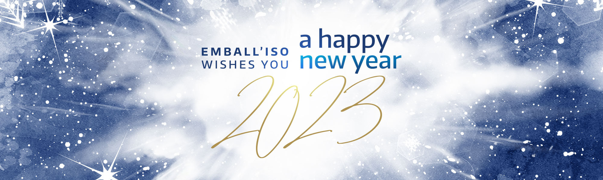 Home - Isothermal packaging and Reverse Logistics solutions - EMBALL ...